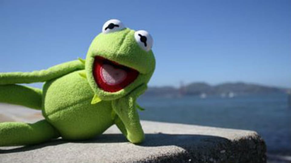 Heute vor 58 Jahren: Geburt von Muppet Kermit - Audio & Podcasts - SRF