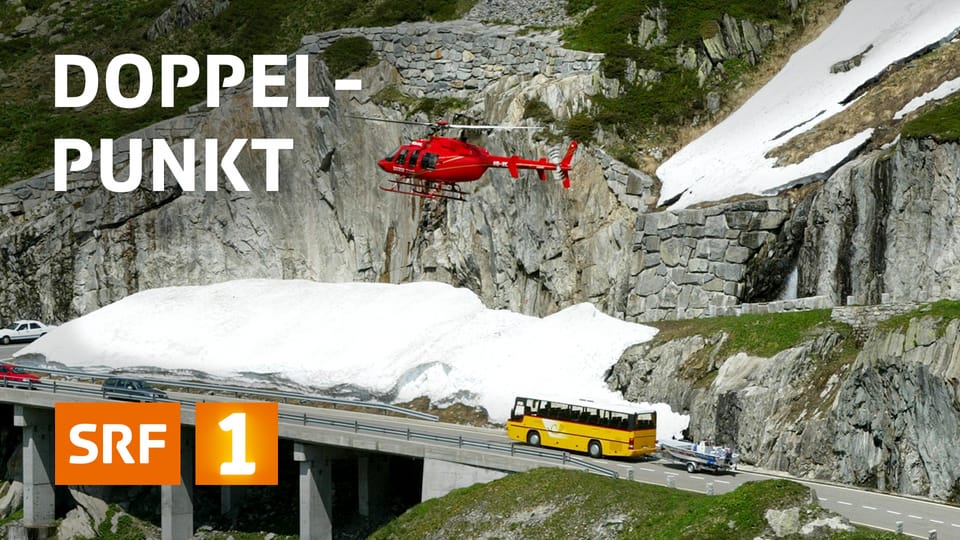 Die Arven von Tamangur oder: Dem Romanischen geht's wie dem Wald ...