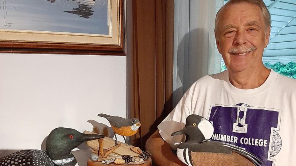 Hans Heim schnitzt leidenschaftlich Singvögel aus Holz - Audio ...