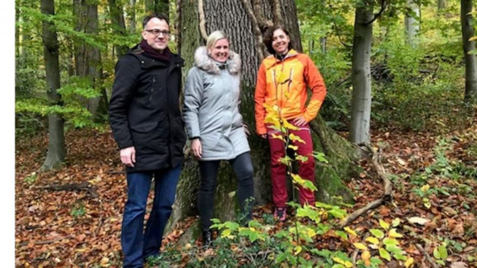 Basler Wald wird besser geschützt als geplant - Audio & Podcasts - SRF