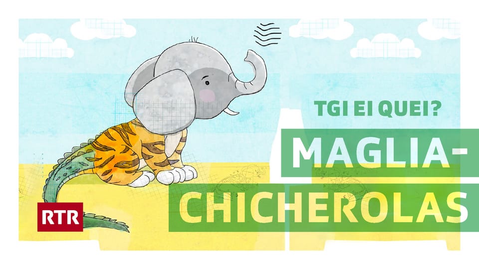 Il magliachicherolas - Audioteca - RTR