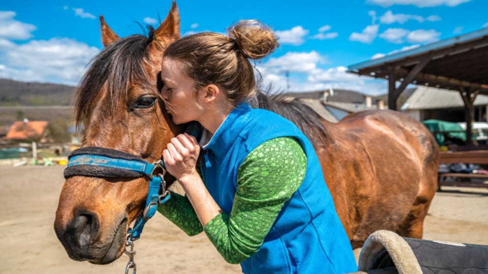 Gefährliche Pferdeseuche: Das West-Nil-Virus im Tessin - Audio ...