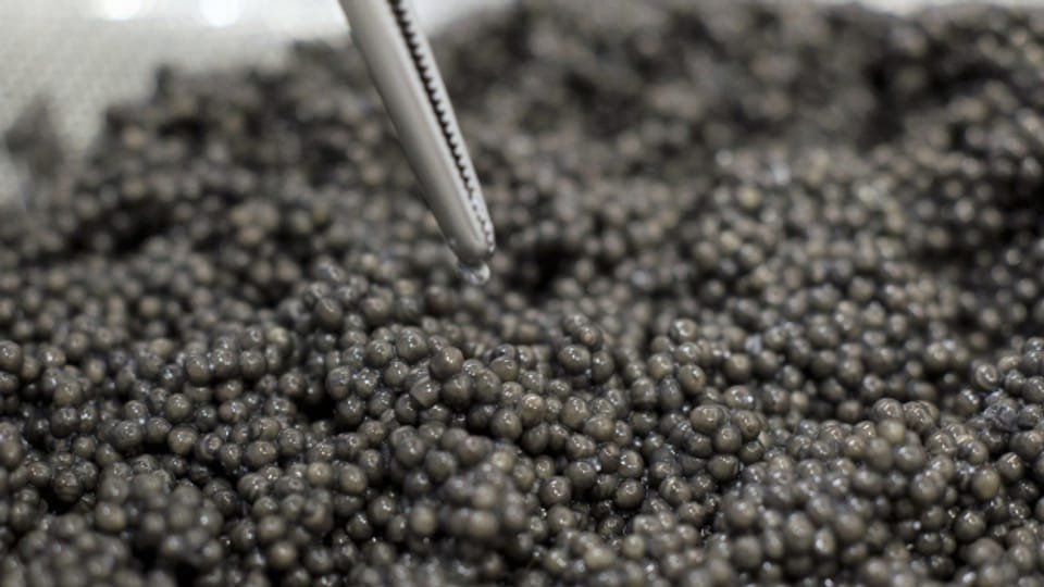 Warnung: Listerien in Balik-Pearls-Kaviar - Audio & Podcasts - SRF