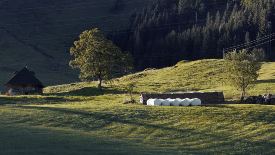 40 Jahre Siloballen: Von der Ostschweiz auf die Wiesen des Landes ...