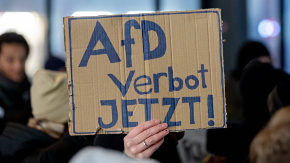 Die AfD verbieten? Ein Verfassungsrechtler warnt - Audio & Podcasts - SRF