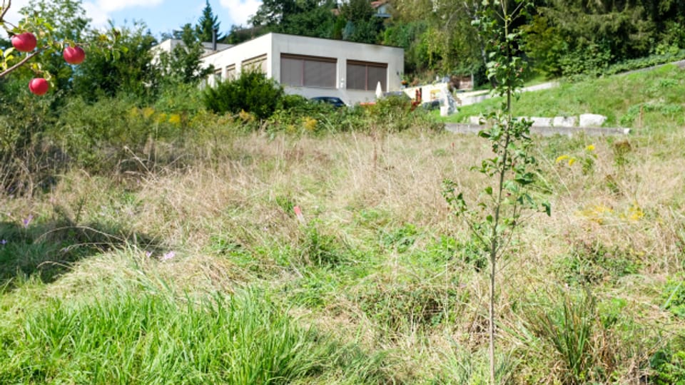 Wie sich ein Grundstück in Zwingen zum Alptraum entwickelt hat - Audio ...