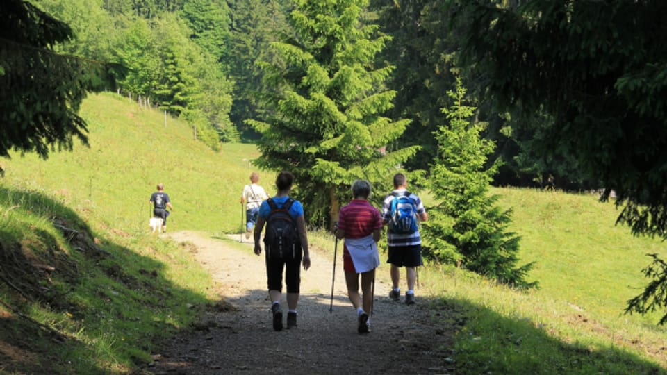 Warum zittern die Knie beim Abwärtswandern? - Audio & Podcasts - SRF