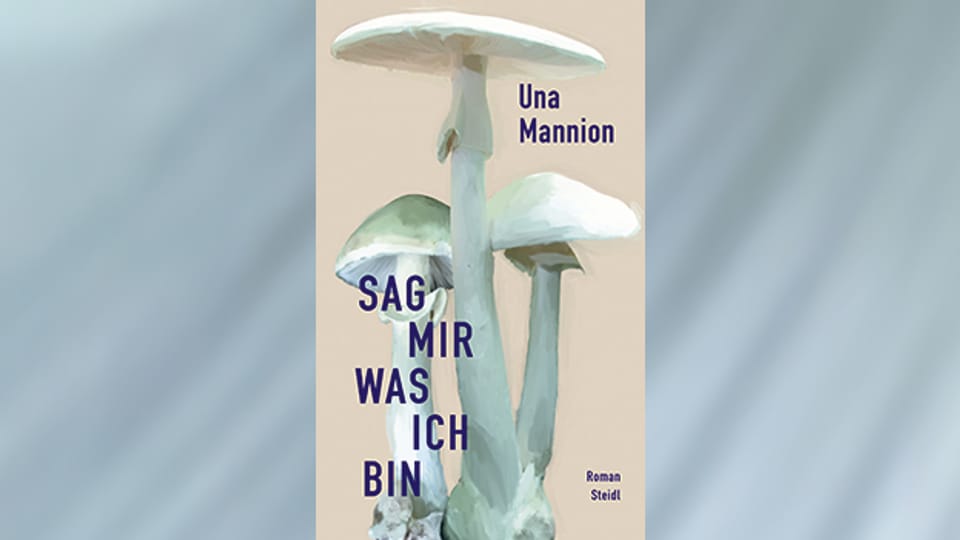 «Sag mir, was ich bin»: Una Mannion erzählt in ihrem Roman von ...