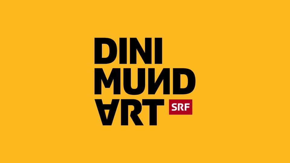 Wort des Jahres des Collins Dictionary: brat - Audio & Podcasts - SRF