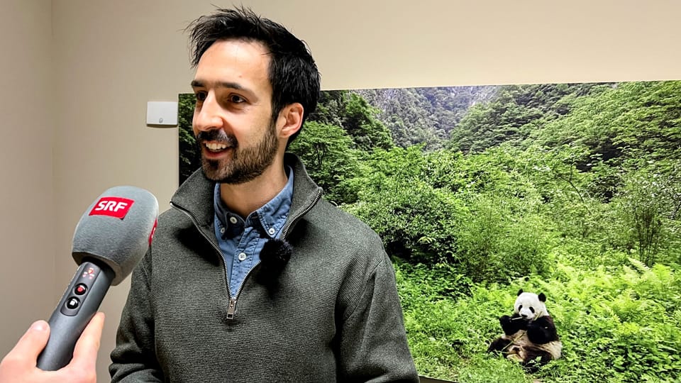 Mein Geld soll Wirkung zeigen! - Audio & Podcasts - SRF