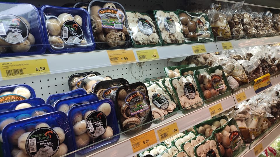 Austernseitling, Kräuterseitling und Shitake – Zuchtpilze boomen ...