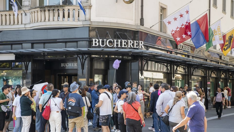Bucherer-Stiftung holt ETH mit 100-Millionen-Spende nach Luzern - Audio ...