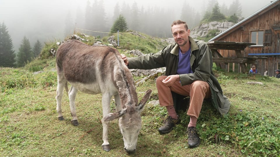 Neues Bergleben auf einer Urner Alp dank Kultur? - Audio & Podcasts - SRF