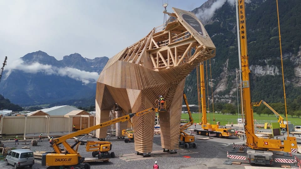 ESAF 2025: Interesse aus Glarus und Uri am Holz-Muni «Max» - Audio ...