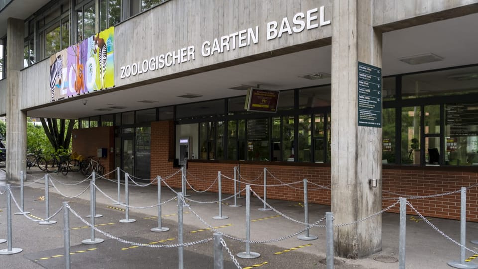 Zoo Basel baut neues Parkhaus - Audio & Podcasts - SRF