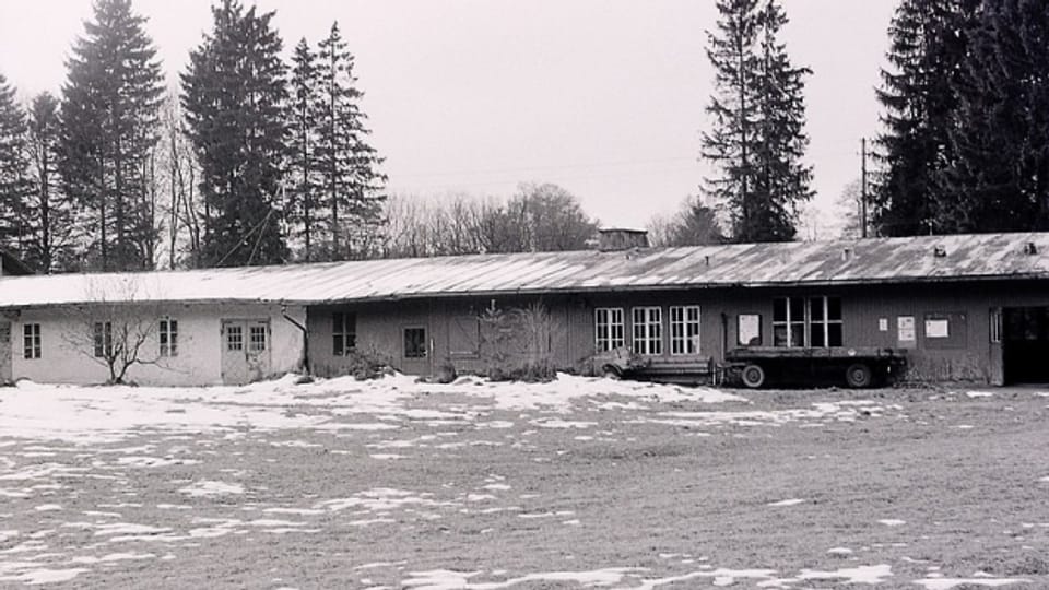 «Recheuz» von Friedrich Christian Zauner - Audio & Podcasts - SRF