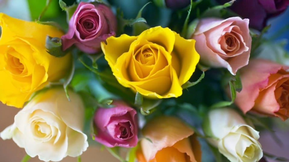 Matg e di da las mammas - Audioteca - RTR